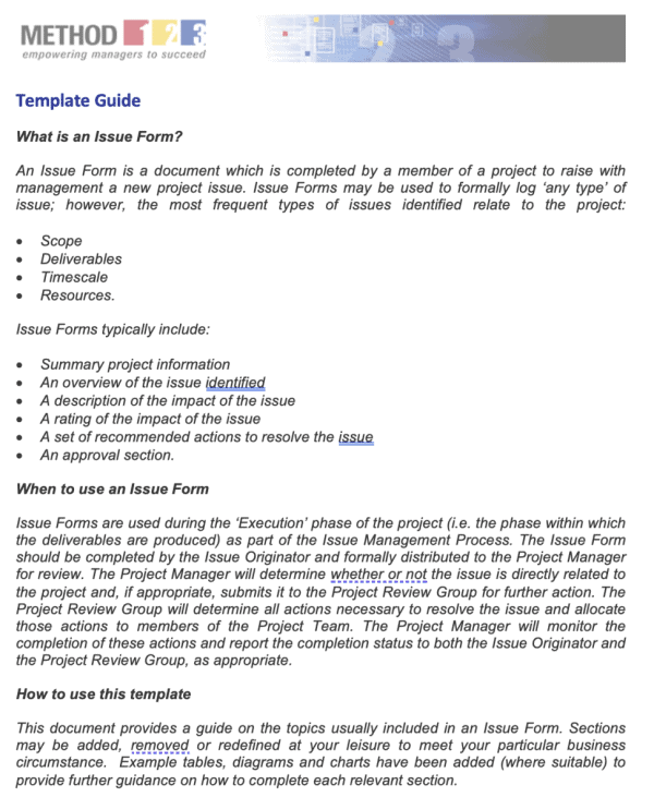 Issue Form Template for Project Managers