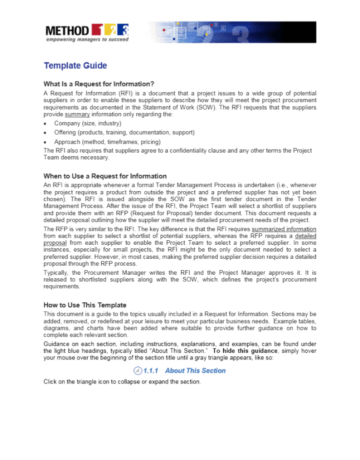Request For Information Template for Project Managers