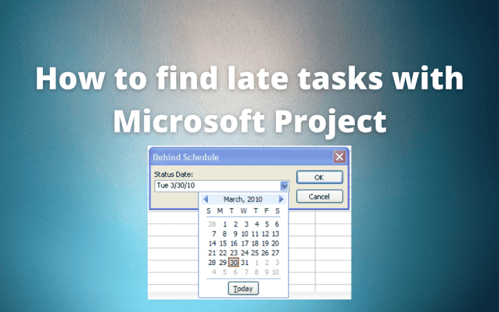 Finding Late Tasks with Microsoft Project Custom Filters