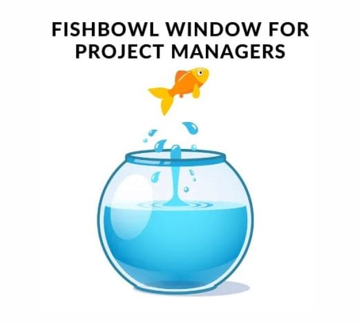 5 Ways to Facilitate Fishbowl Window for Project Managers