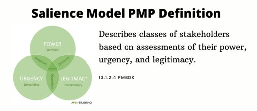 Understanding the Stakeholder Salience Model