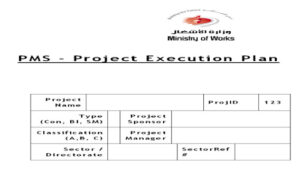 25 x Project Execution Plan Template – Word, Excel