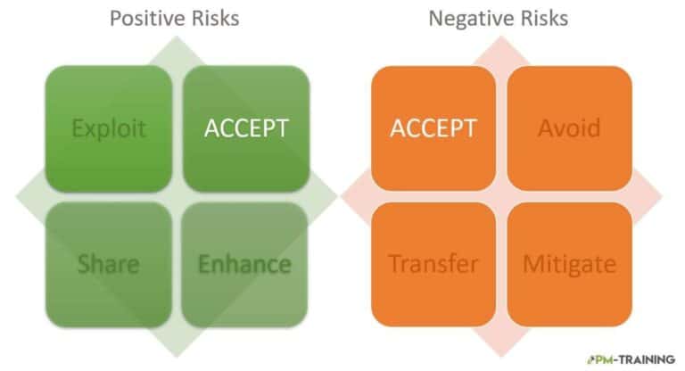 Risk Transference in Project Management