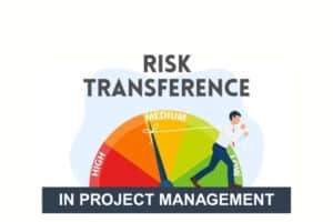 Risk Transference in Project Management
