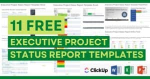 11 x Executive Project Status Report Template – Word, Excel
