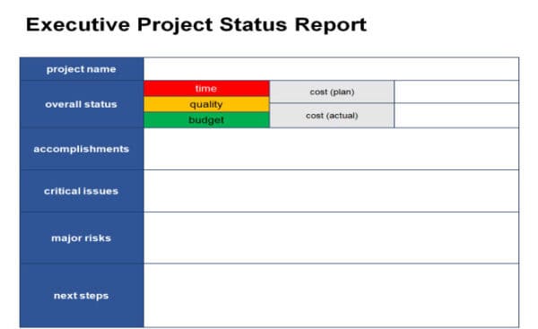 11 x Executive Project Status Report Template – Word, Excel