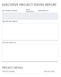 11 x Executive Project Status Report Template – Word, Excel