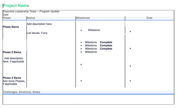 11 x Executive Project Status Report Template – Word, Excel