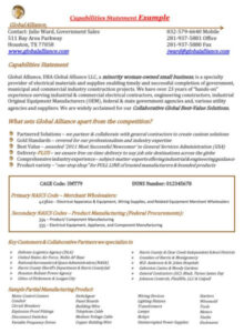 42 x Capability Statement Template – Word, PDF