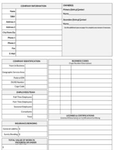 42 x Capability Statement Template – Word, PDF