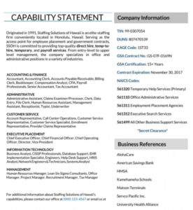 42 x Capability Statement Template – Word, PDF