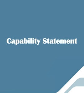 42 x Capability Statement Template – Word, PDF