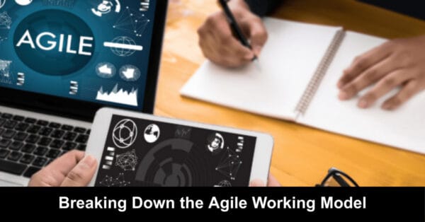 Breaking Down the Agile Working Model