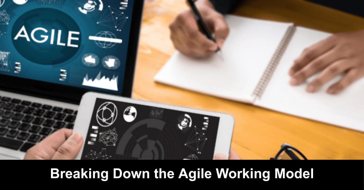 Breaking Down the Agile Working Model